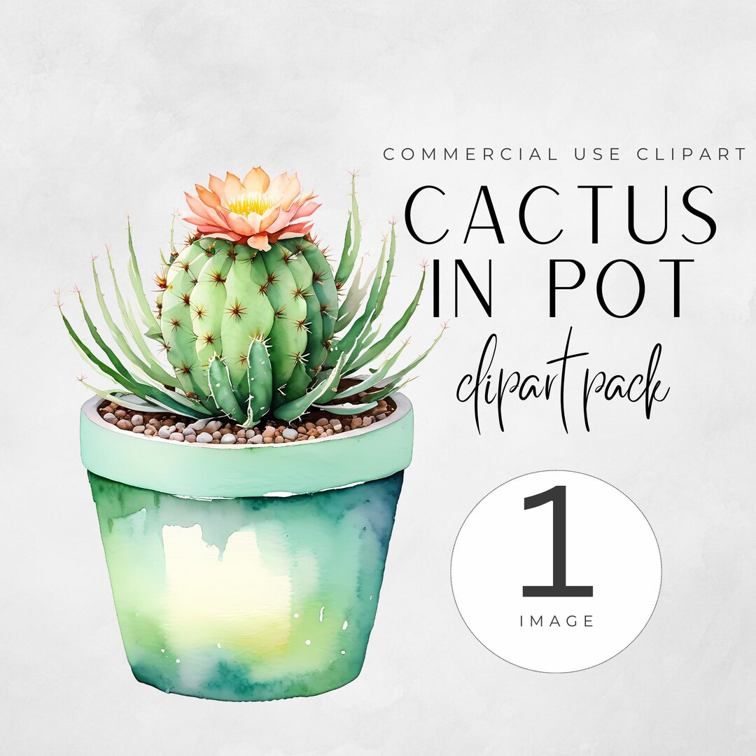 Cactus Clipart, Succulent PNG, Watercolor Cactus Illustration, Desert ...