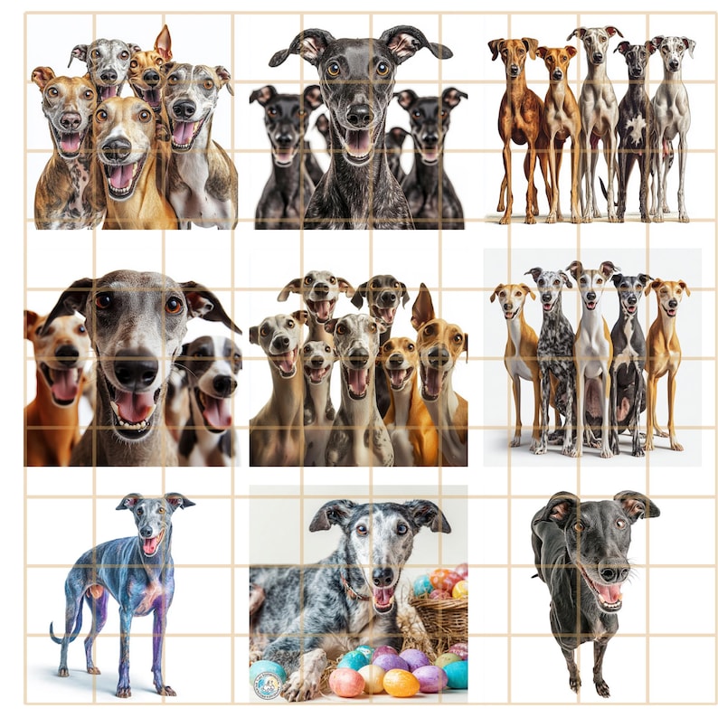 Smiling Greyhound Clipart Bundle, Happy Hound Dog Illustrations, Cute ...