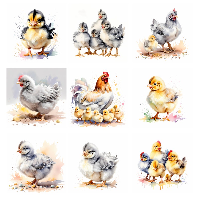Cute Chicken Clipart Bundle, Watercolor Chicken, Baby Chicken Clipart ...