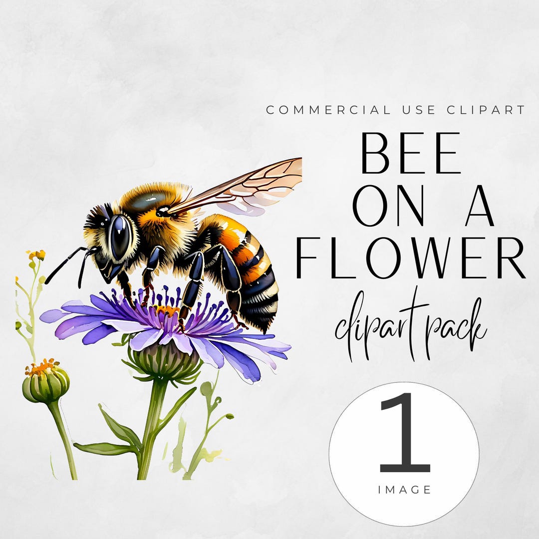 Bee on Flower Clipart, Honeybee PNG, Floral Graphics, Spring Bee ...