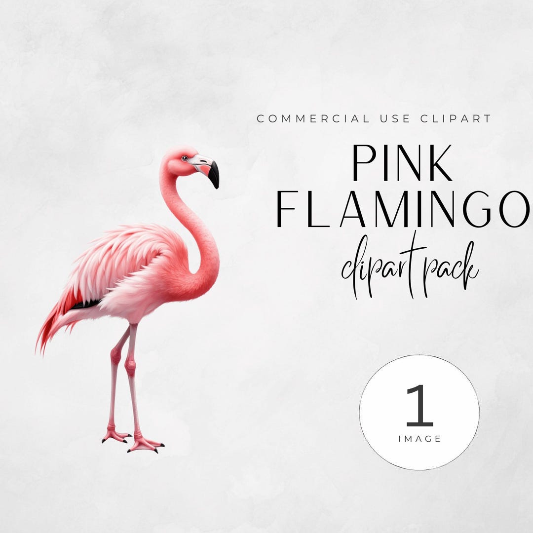 Summer Flamingo Clipart, Tropical Summer Clipart, Beach Sublimation ...