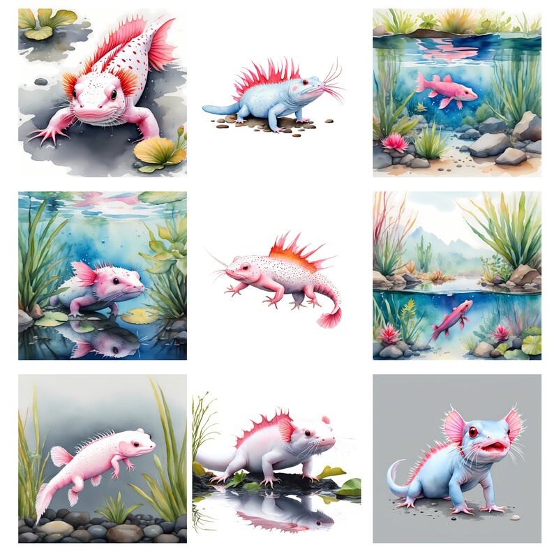 Watercolor Axolotl Clipart Bundle, Cute Salamander Illustrations ...