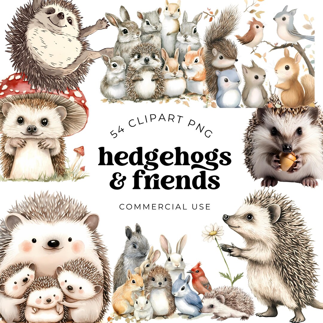 Watercolor Hedgehog Clipart Set, Cute Woodland Animal Pngs for Nursery ...