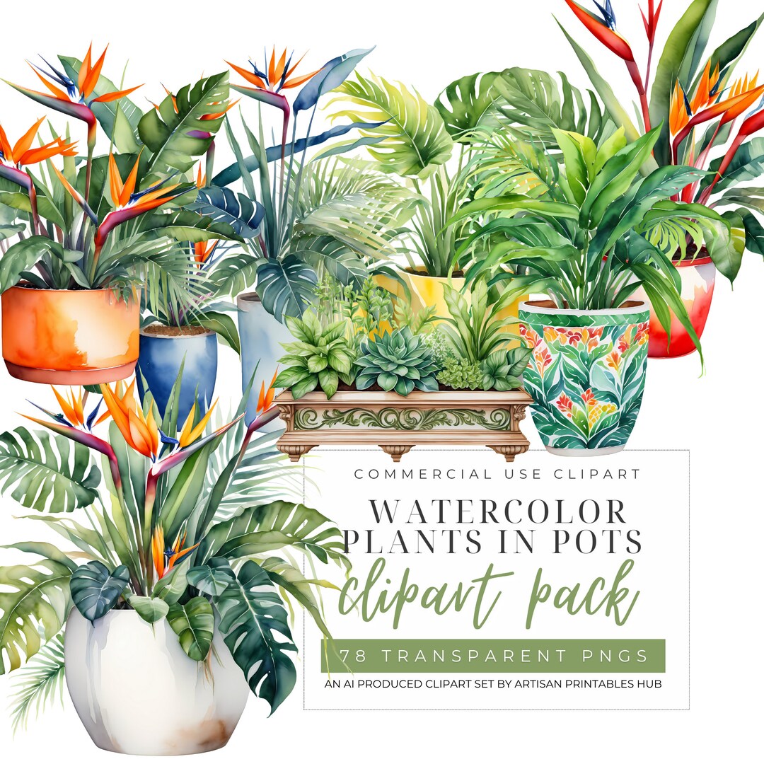 Watercolor House Plants Clipart PNG, Indoor Plant Illustrations for ...