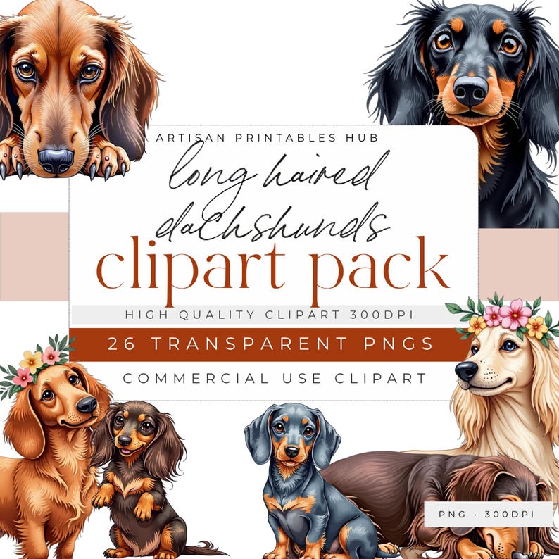 Watercolor Long Haired Dachshund Clipart, Dog Lover PNG SVG ...