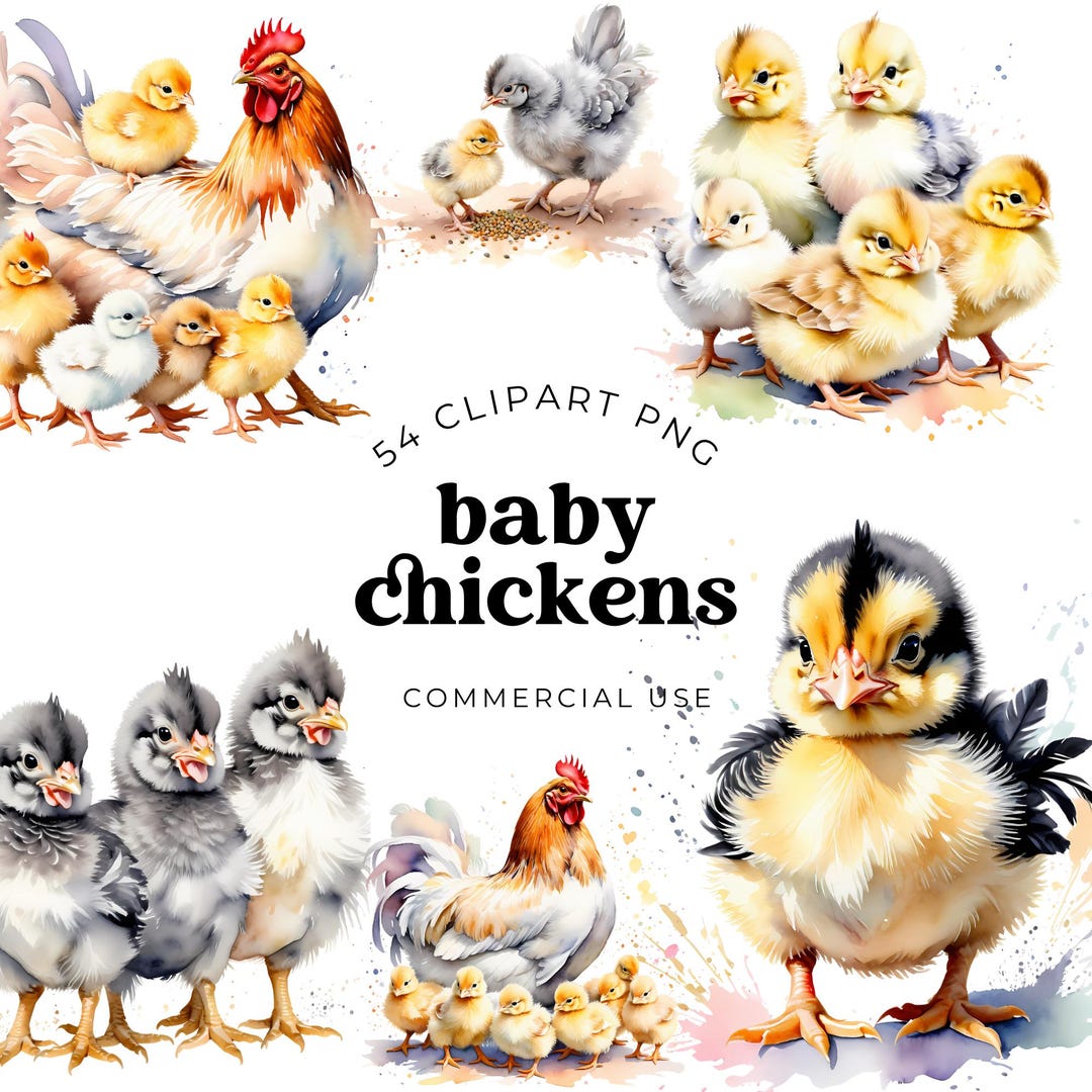 Baby Chick Clipart Bundle, Adorable Watercolor Easter Chicks and Farm ...