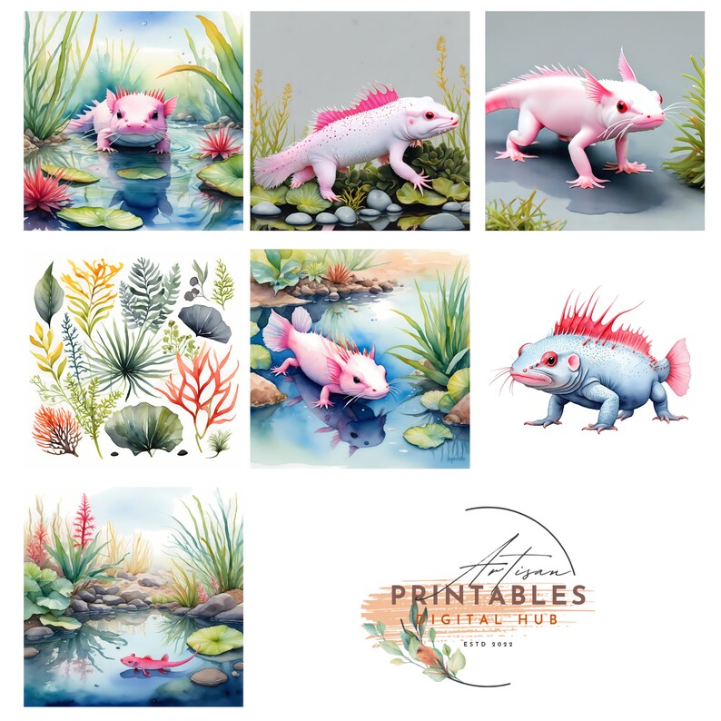 Cute Axolotl Png, Instant Download, Watercolor Axolotl, Watercolor ...