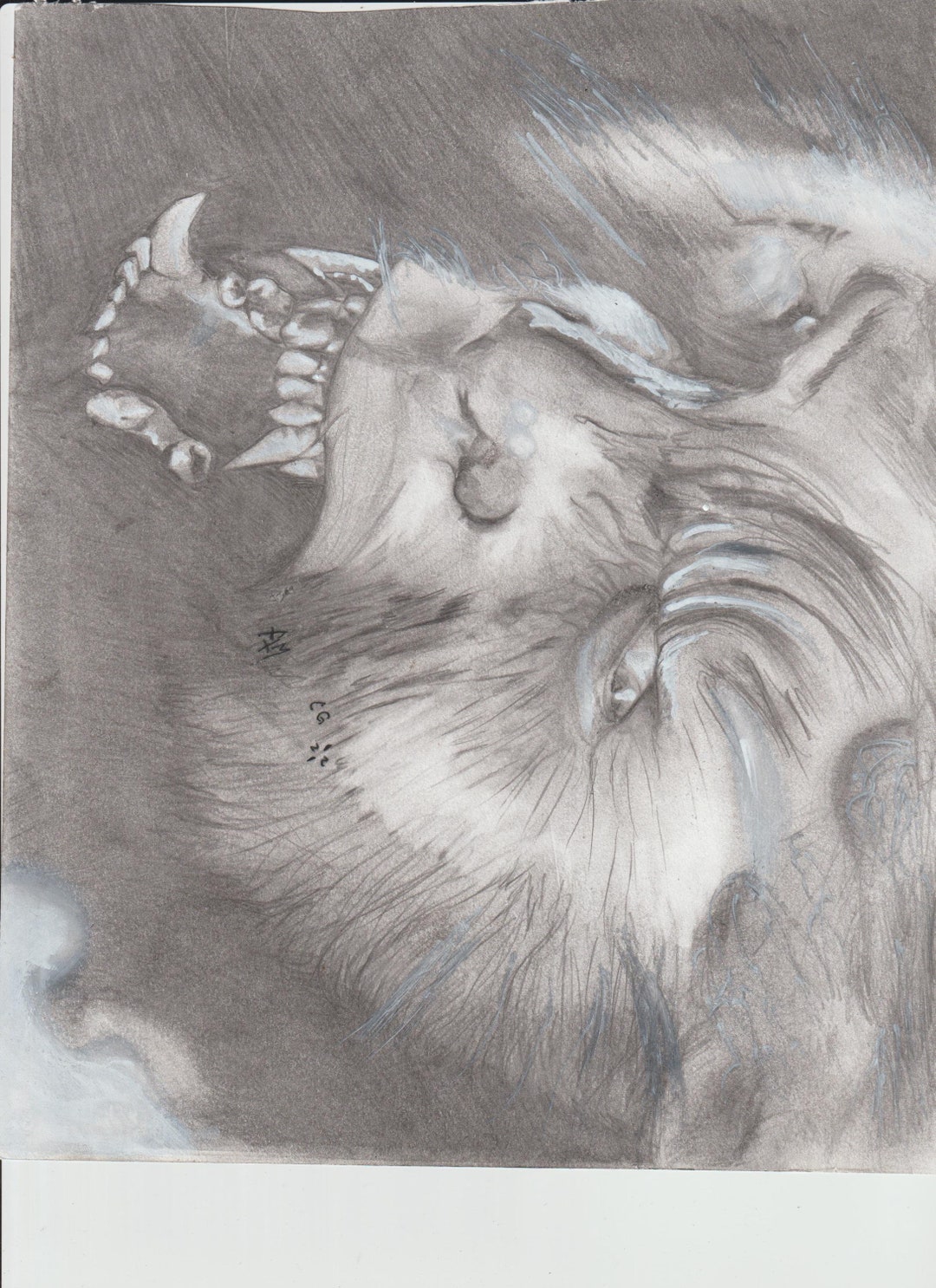 Wolfman Pencil Drawing - Etsy