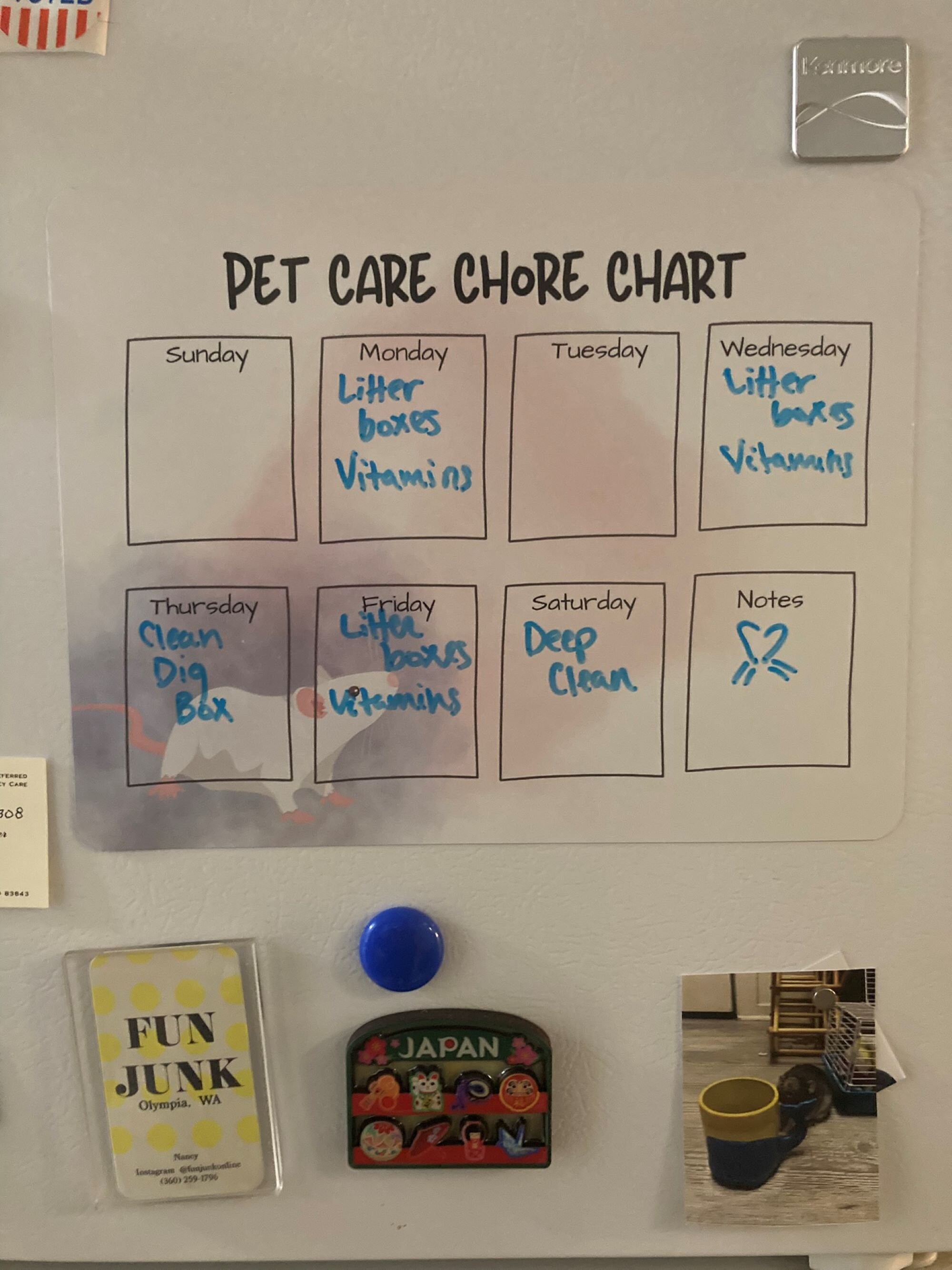 Pet Care Chore Chart Whiteboard Magnet (rat) - Etsy
