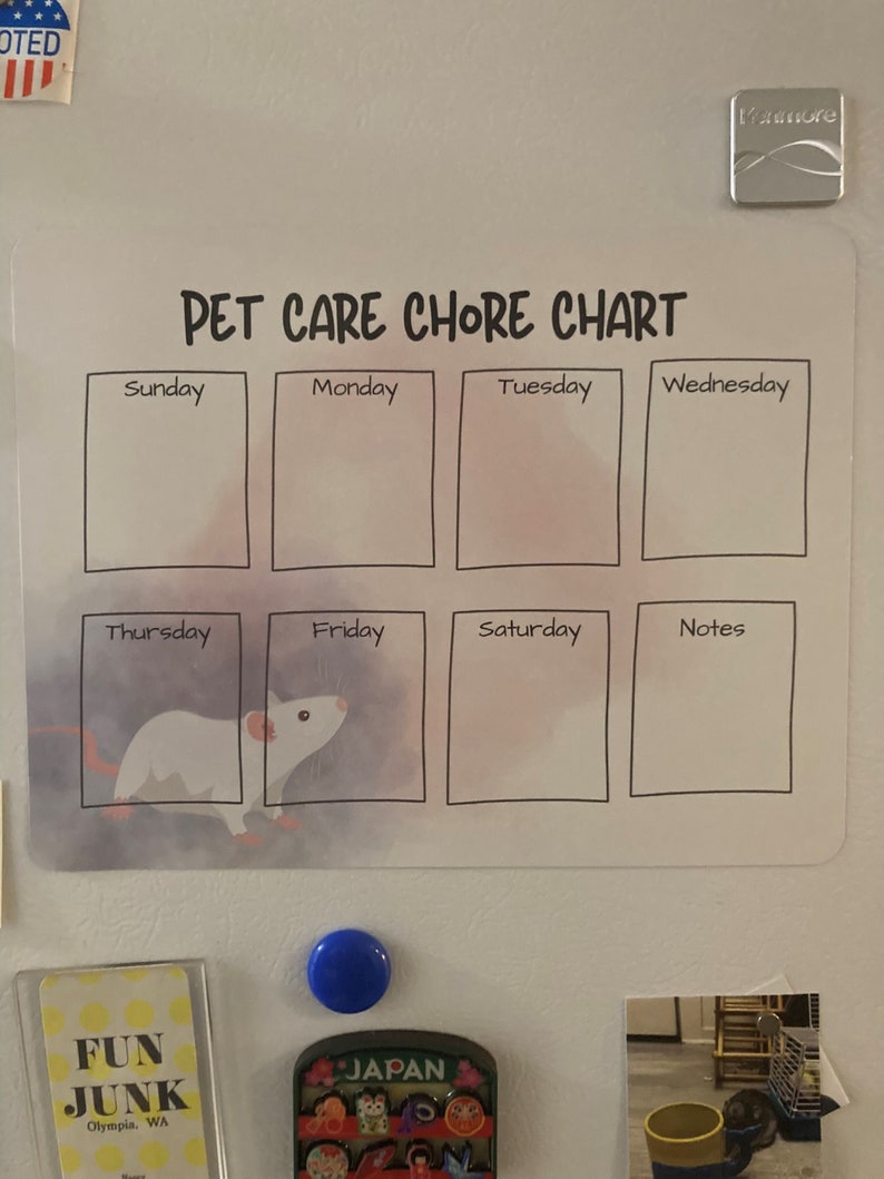 Pet Care Chore Chart Whiteboard Magnet (rat) - Etsy