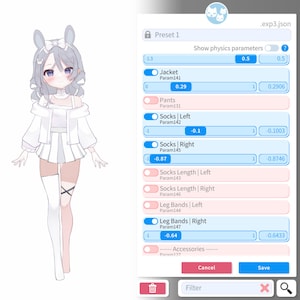 Customizable Live2d Premade Vtuber | Editable & Rigging | Customized - Etsy