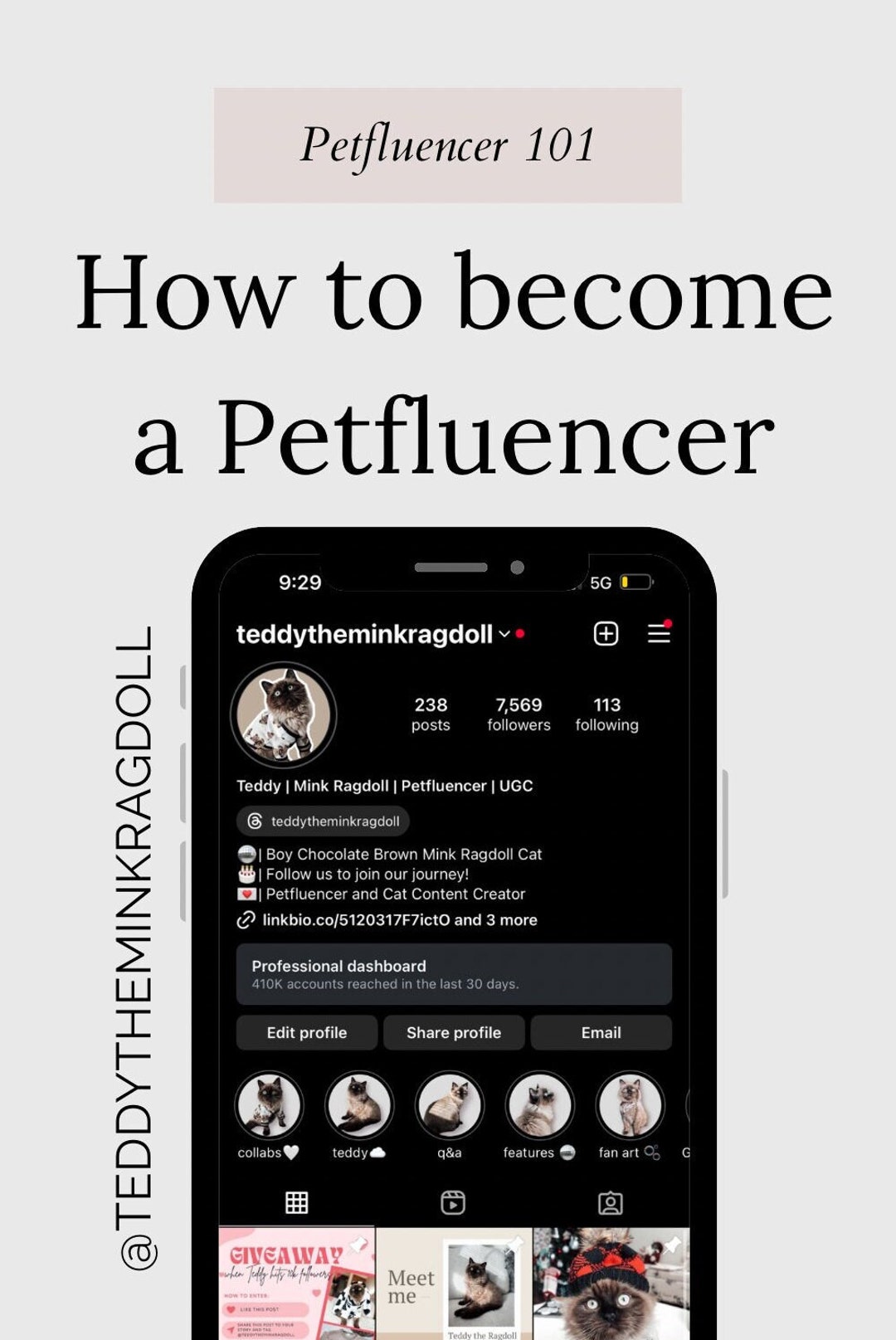 Petfluencer Guide - Etsy