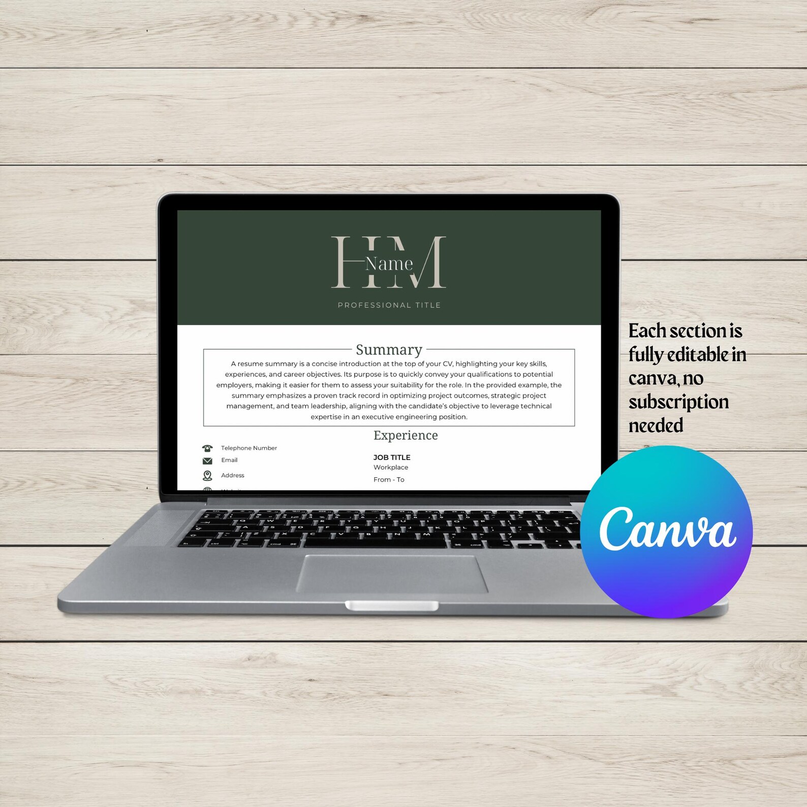 Editable CV Template: Professional Resume Design (canva Download) - Etsy