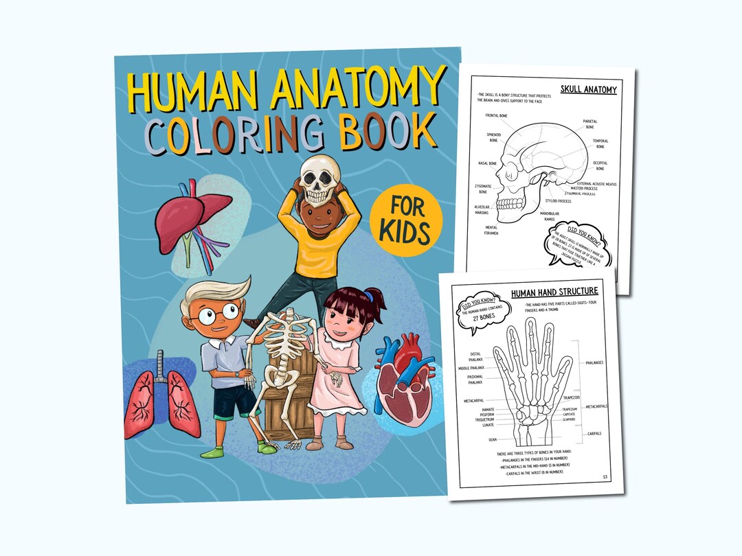 Human Anatomy Coloring Book for Kids, Printable Physiology Flashcards ...