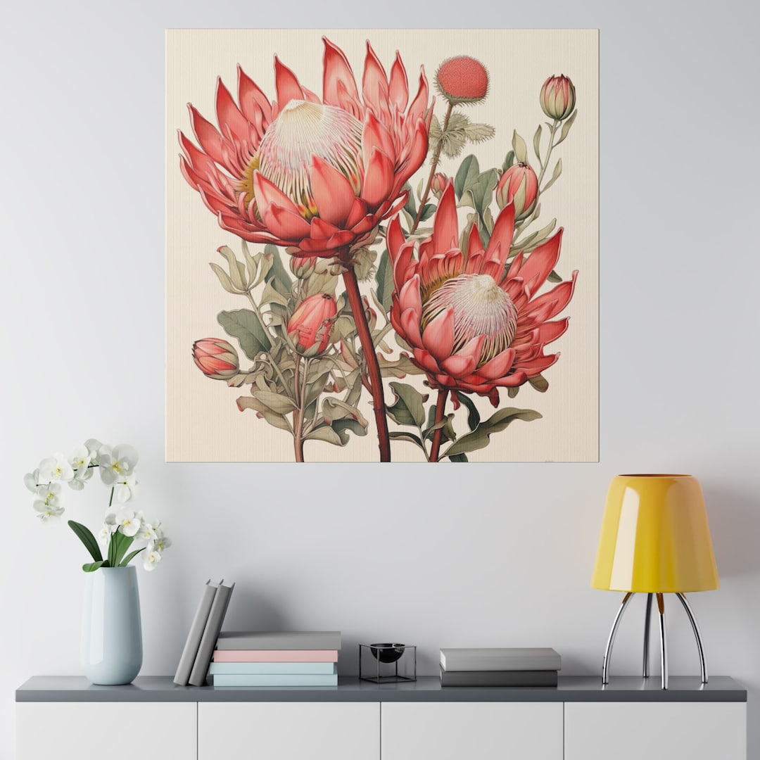 Beautiful Protea Blooms Botanical Illustration, Matte Canvas, Stretched ...