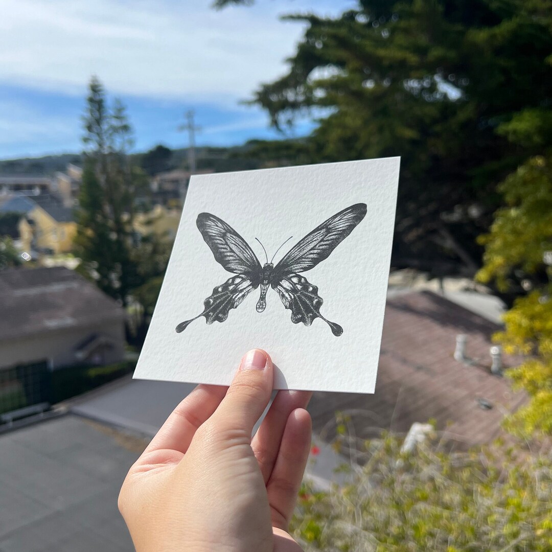 Common Clubtail Butterfly - Etsy