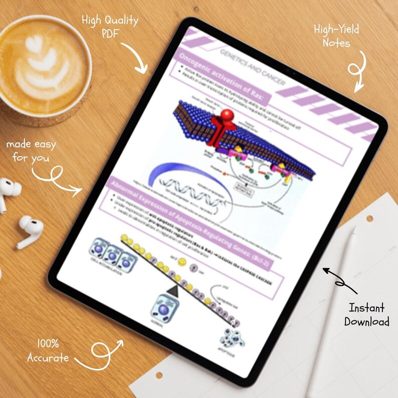 Genetics & Cancer Notes | Study Guide Notes | Nursing School Notes ...