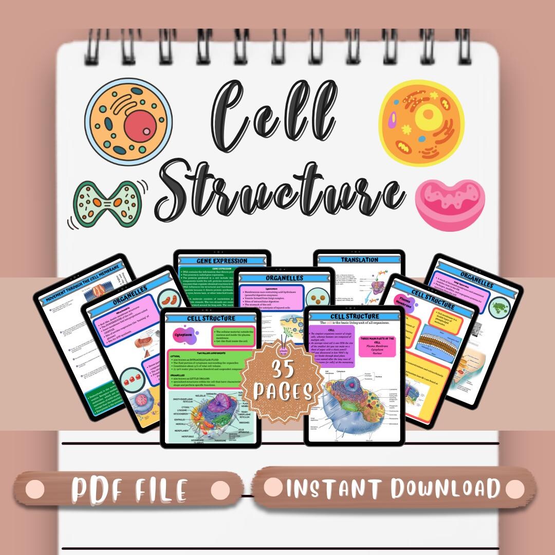 Cell Structure Study Guide Notes Digital Study Guide Printable Nursing ...