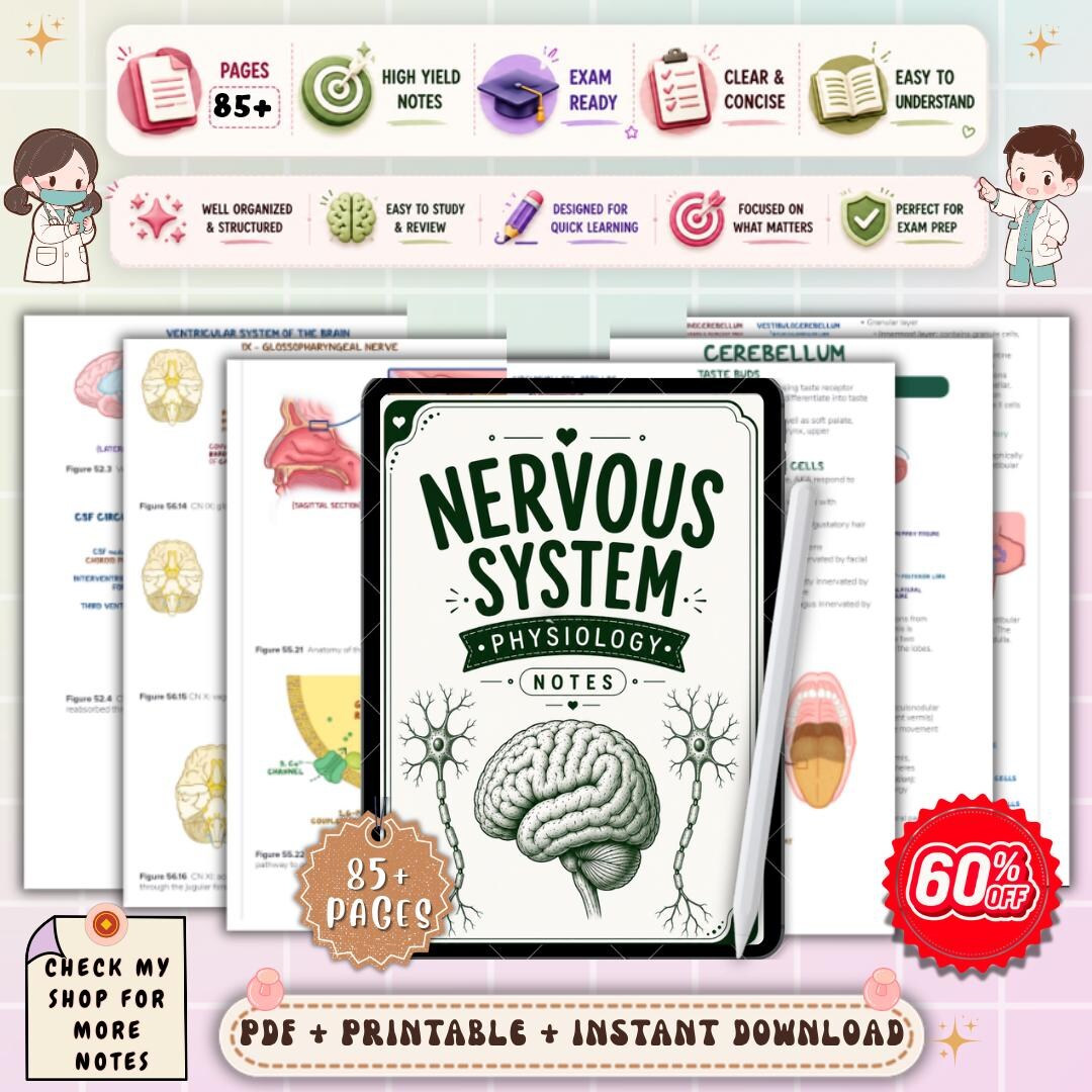 Nervous System Physiology Nursing Notes | Neuro Function Study Guide ...