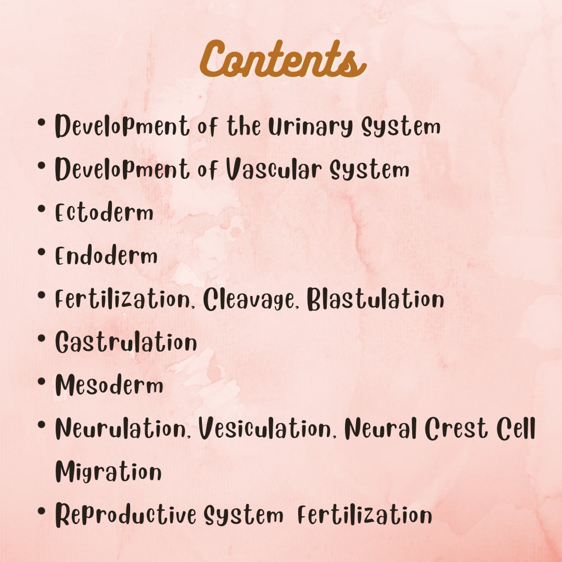 Embryology Notes Study Guide Notes Medical Notes Nursing Notes Nurse ...