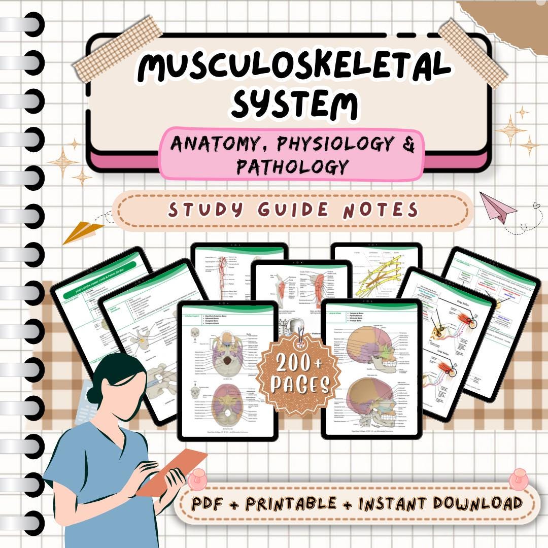 Musculoskeletal System Notes - Anatomy, Physiology & Pathology ...