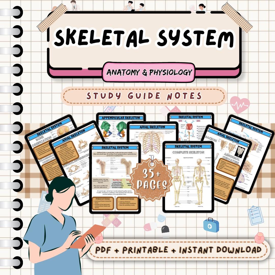 Skeletal System Notes - Anatomy & Physiology | Nursing Study Guide ...