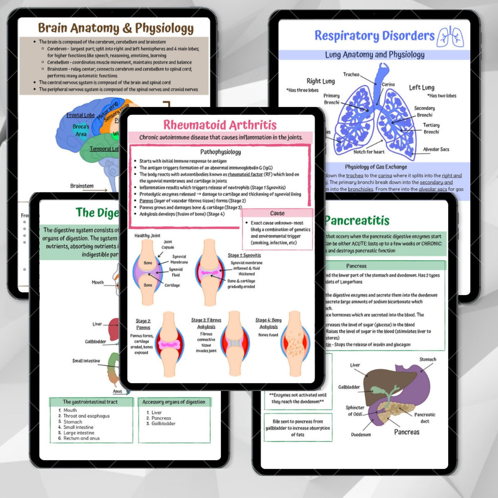 Med-surg Study Guide Medical Surgical Notes Nursing Study Guide Nurse ...