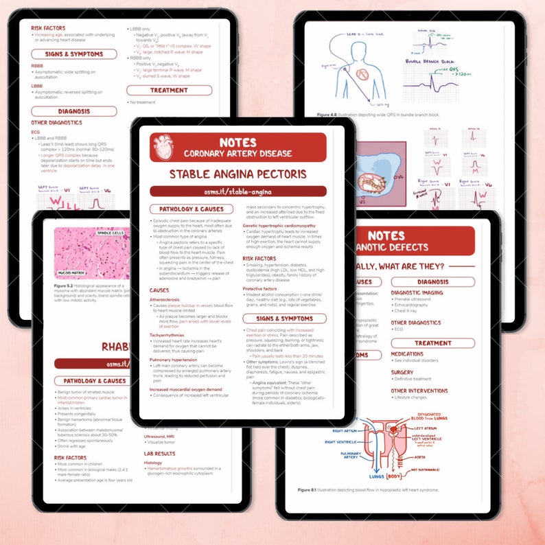 Cardiovascular System High Yield Notes Printable Medical Student Notes ...