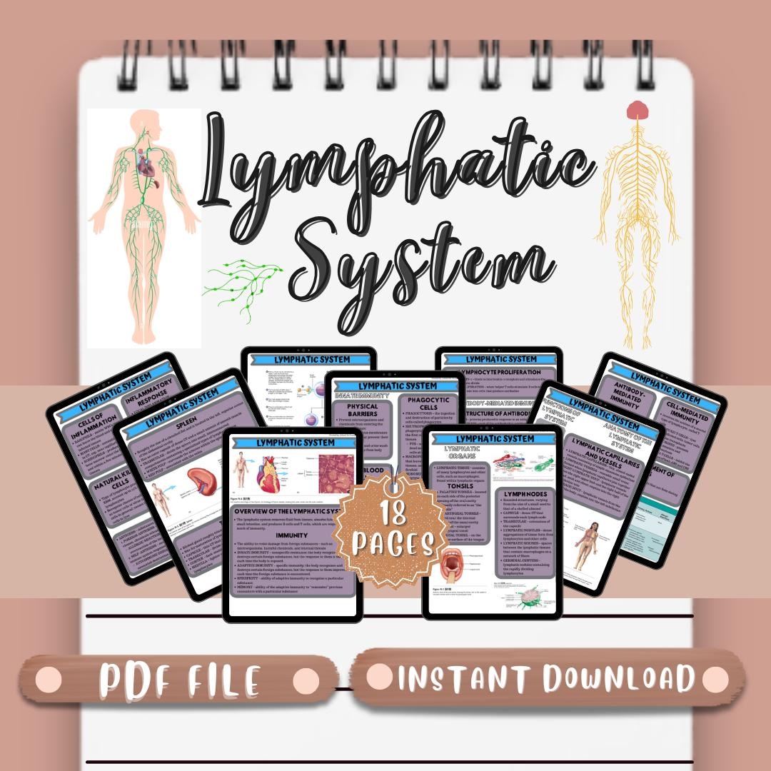 Lymphatic System Notes Digital Medical Study Guide Printable Medical ...