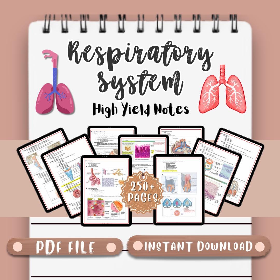 Respiratory System High Yield Notes Digital Medical Study Guide ...