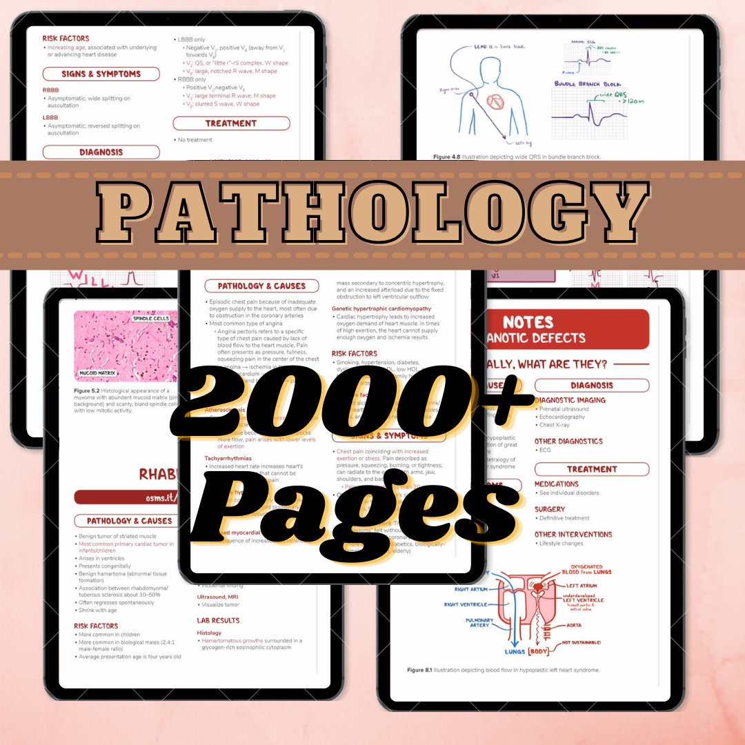 Nursing School Study Guide Bundle| Comprehensive Nursing School Bundle ...