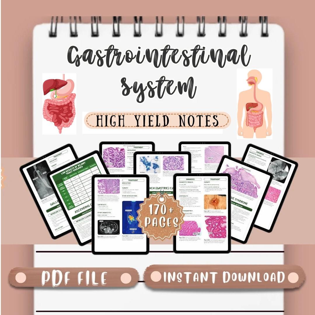 Gastrointestinal System High Yield Notes Digital Study Guide Printable ...