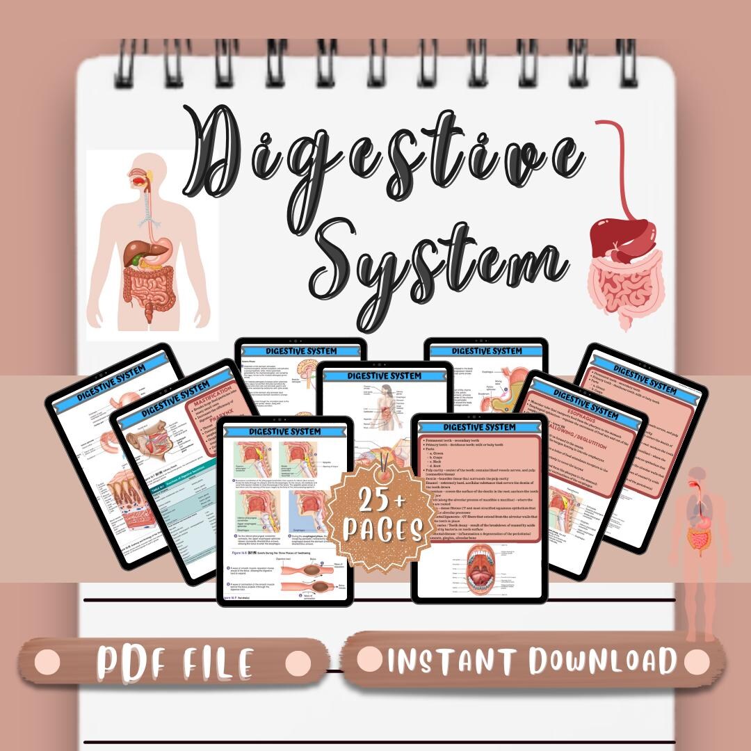 Digestive System Study Guide Notes Digital Medical Study Guide ...