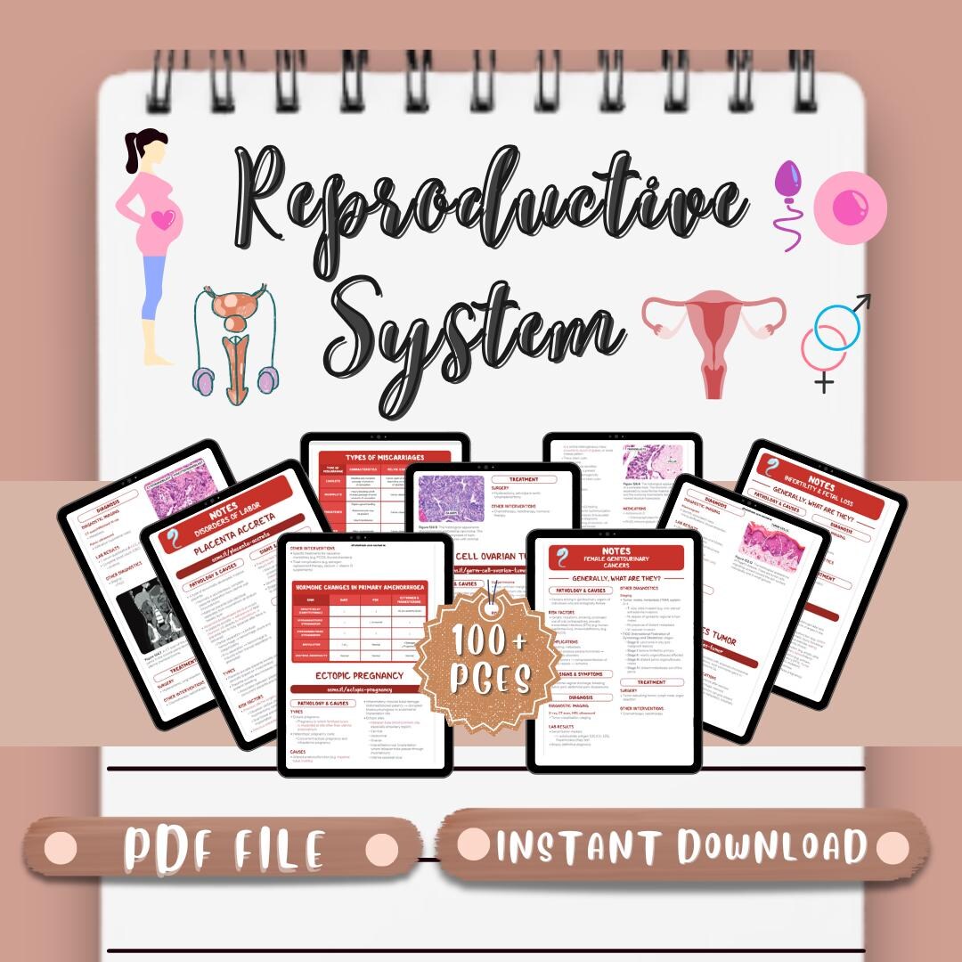 Reproductive System Notes Digital Medical Study Guide Printable Nursing ...