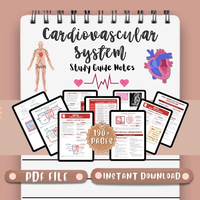 Cardiovascular System High Yield Notes Printable Medical Student Notes ...