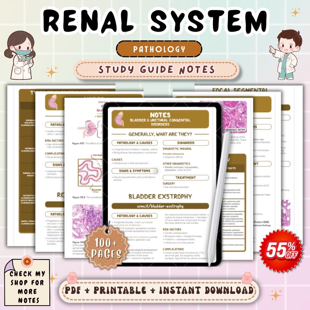 Renal System Notes Pathology | Nursing Study Guide | Nursing School ...