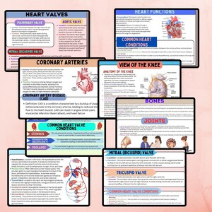 Anatomy and Physiology Flashcards Printable Medical Nursing Flashcards ...