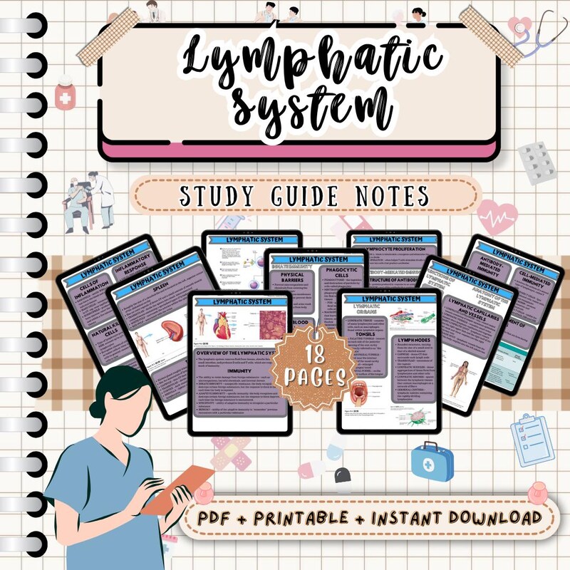 Lymphatic System Anatomy - Etsy