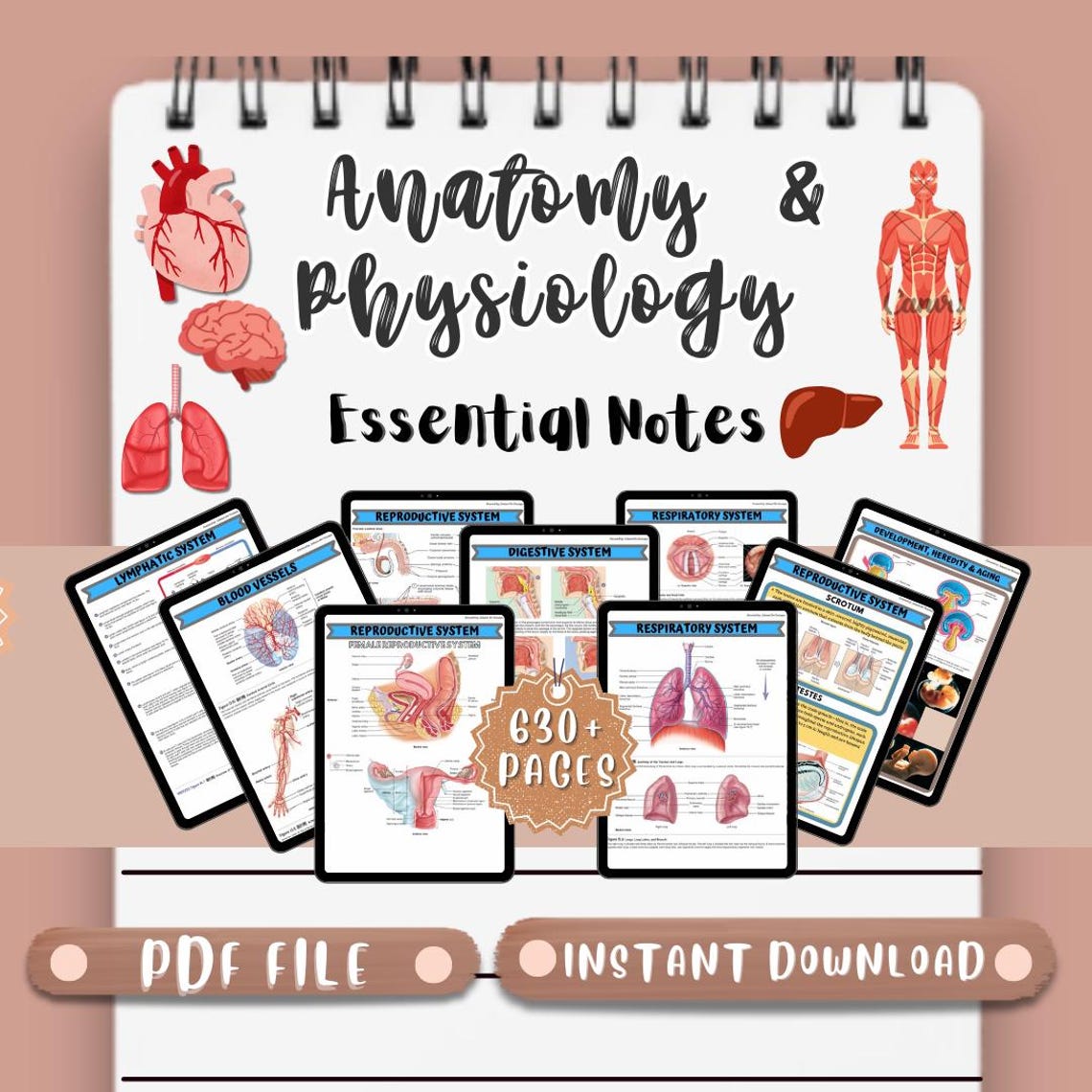 Anatomy and Physiology Study Guide Bundle Notes Nursing Study Guide ...