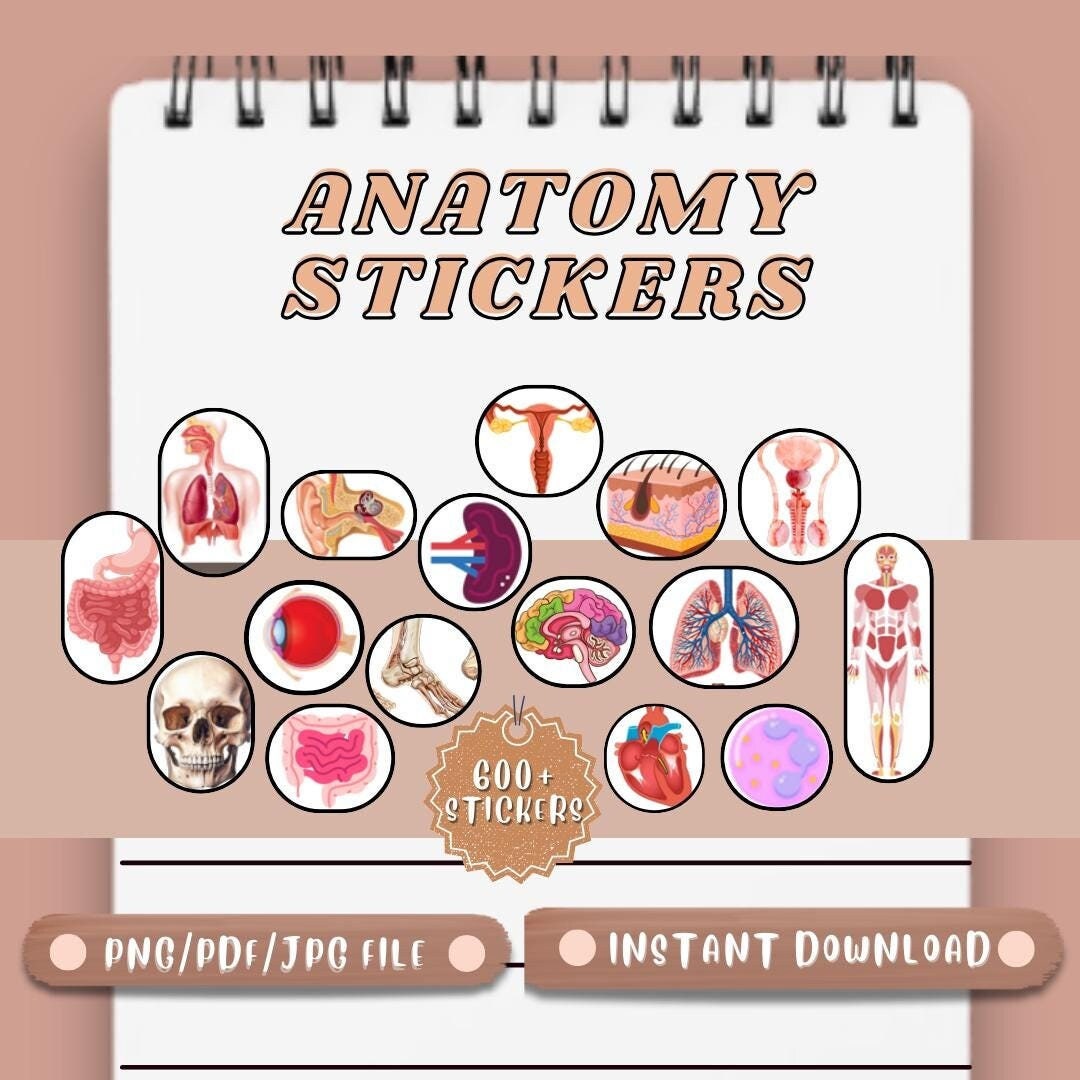Anatomy & Biology Stickers Human Anatomy Stickers Good Notes Stickers ...
