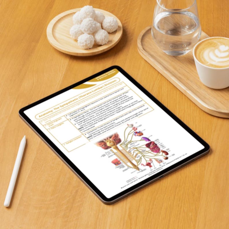 Musculoskeletal System Notes - Anatomy, Physiology & Pathology ...