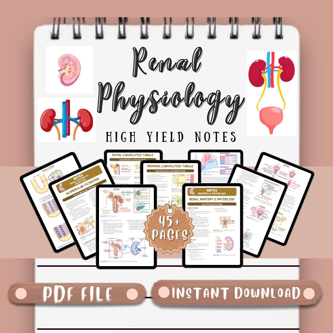 Renal Physiology Notes Study Guide Notes - Etsy