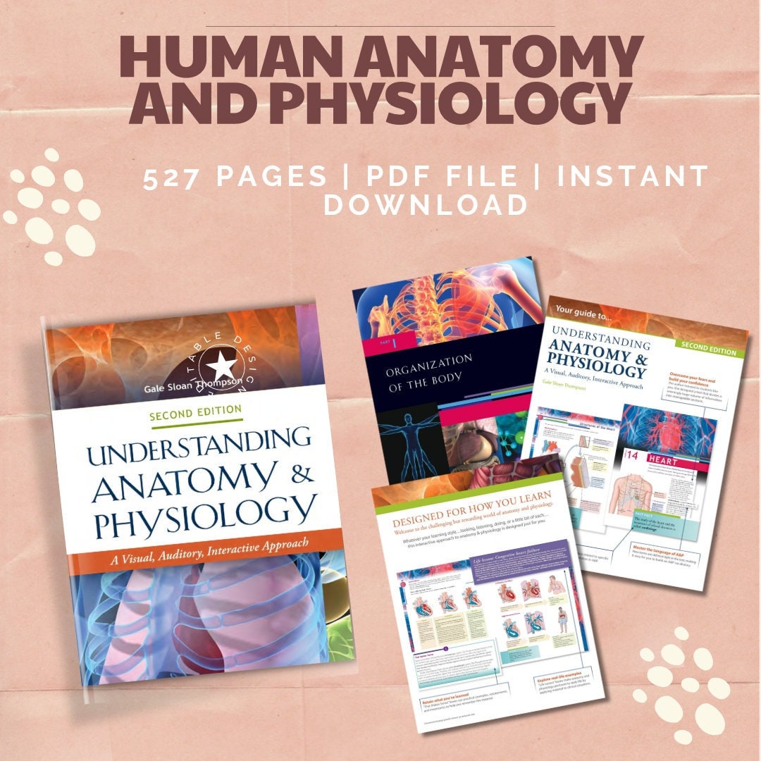 Anatomy and Physiology Study Guide Ebook School Study Guide Ebook ...