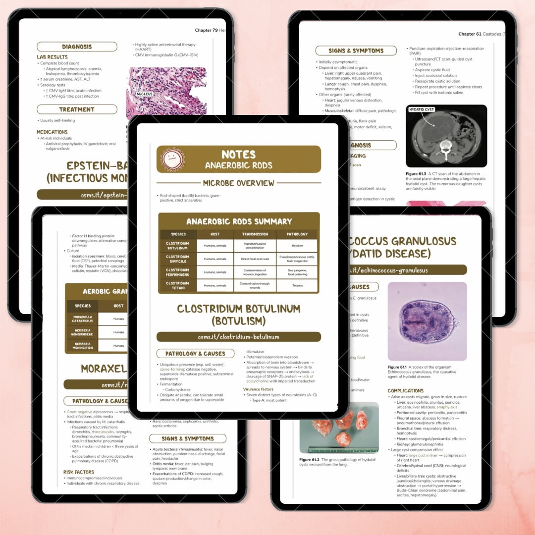 Microbiology High Yield Notes Study Guide Notes Digital Printable ...
