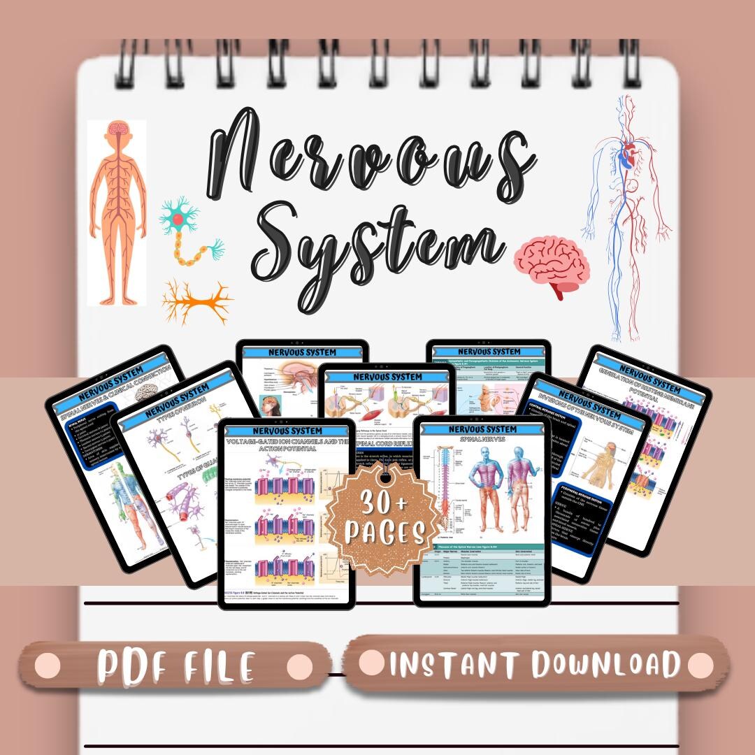 Nervous System Study Guide Notes Digital Medical Study Guide Printable ...