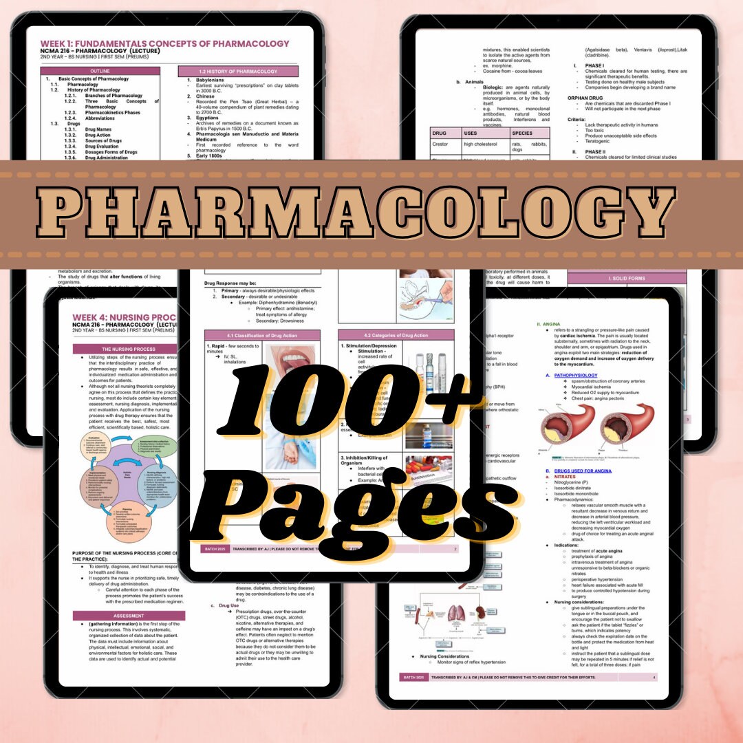 Nursing School Study Guide Bundle| Comprehensive Nursing School Bundle ...