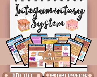 Integumentary System Notes Study Guide , Anatomy Printable Coloring ...