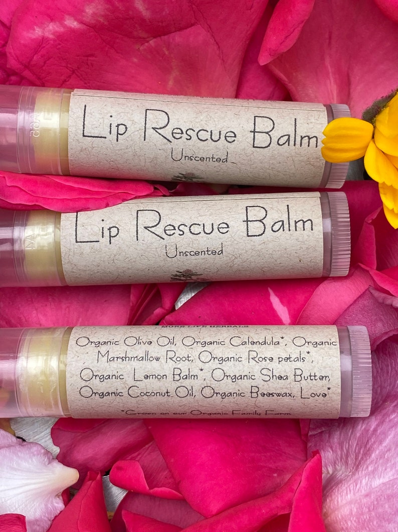 Organic Lip Rescue Balm unscented Moisturizing Healing Organic Shea ...