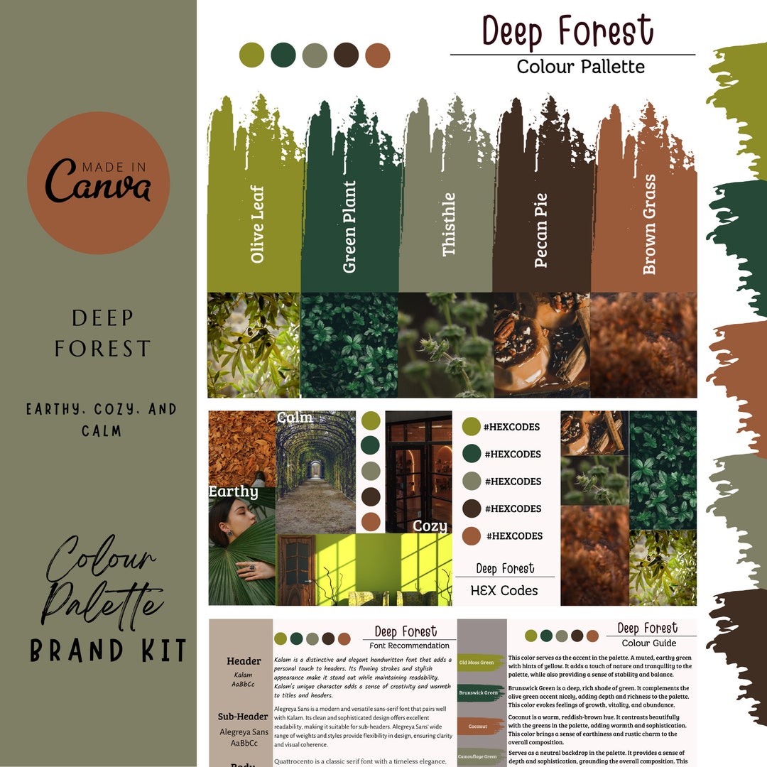 Brand Colour Palette / Editable Canva Colour Palette With Hex Codes ...