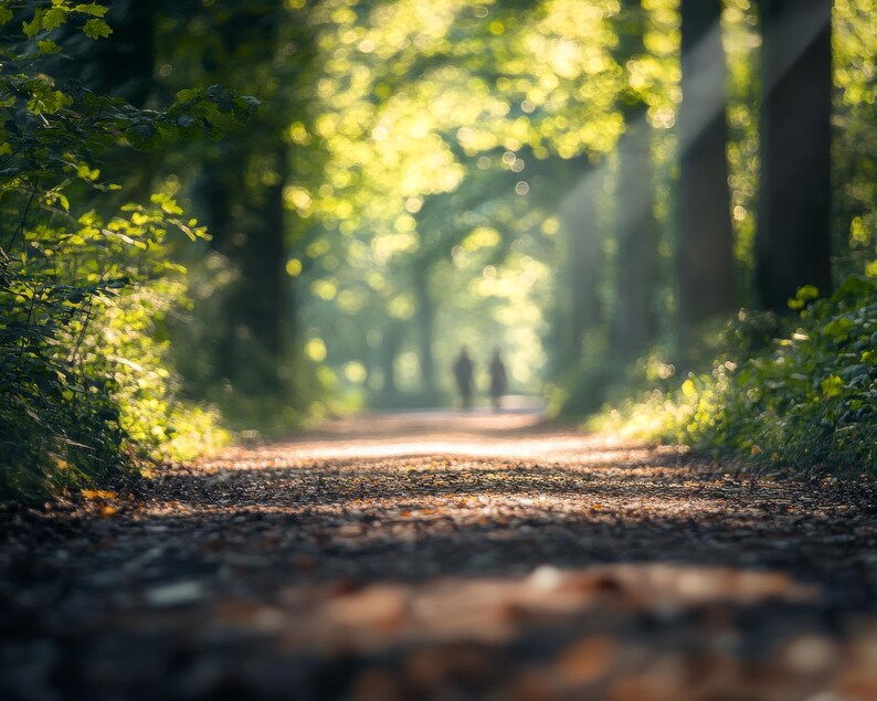 Serene Forest Path Realism Portrait Canvas Wall Art With Sunlit Blur ...